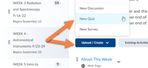 Quizzes – Brightspace Essentials