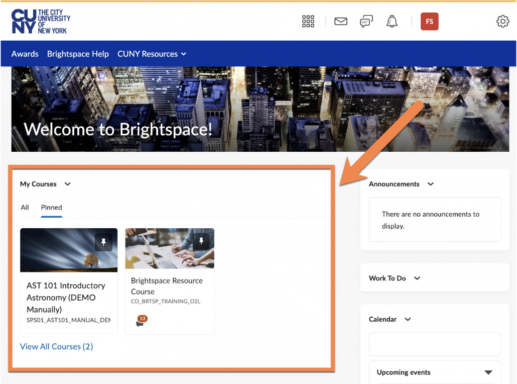 Explore: Getting Familiar with Brightspace – Teaching Guides