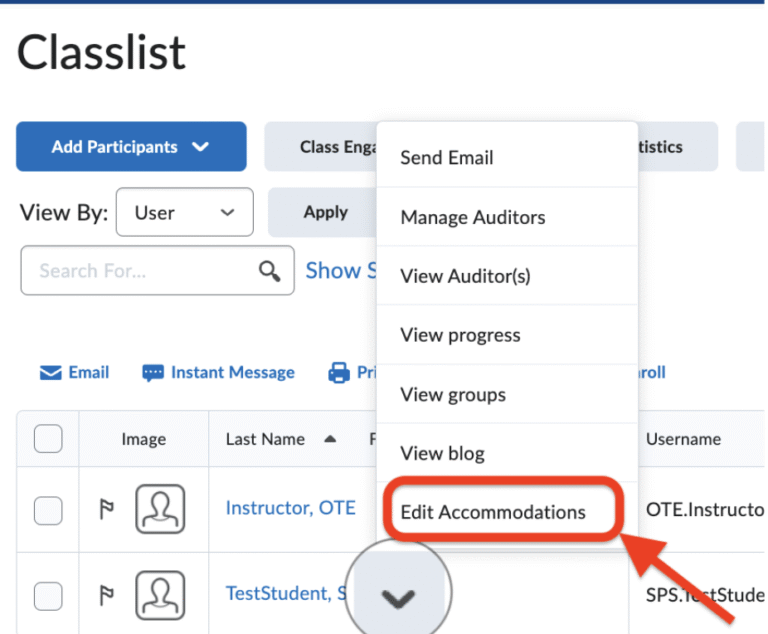 Setting Accommodations in Brightspace – Teaching Guides
