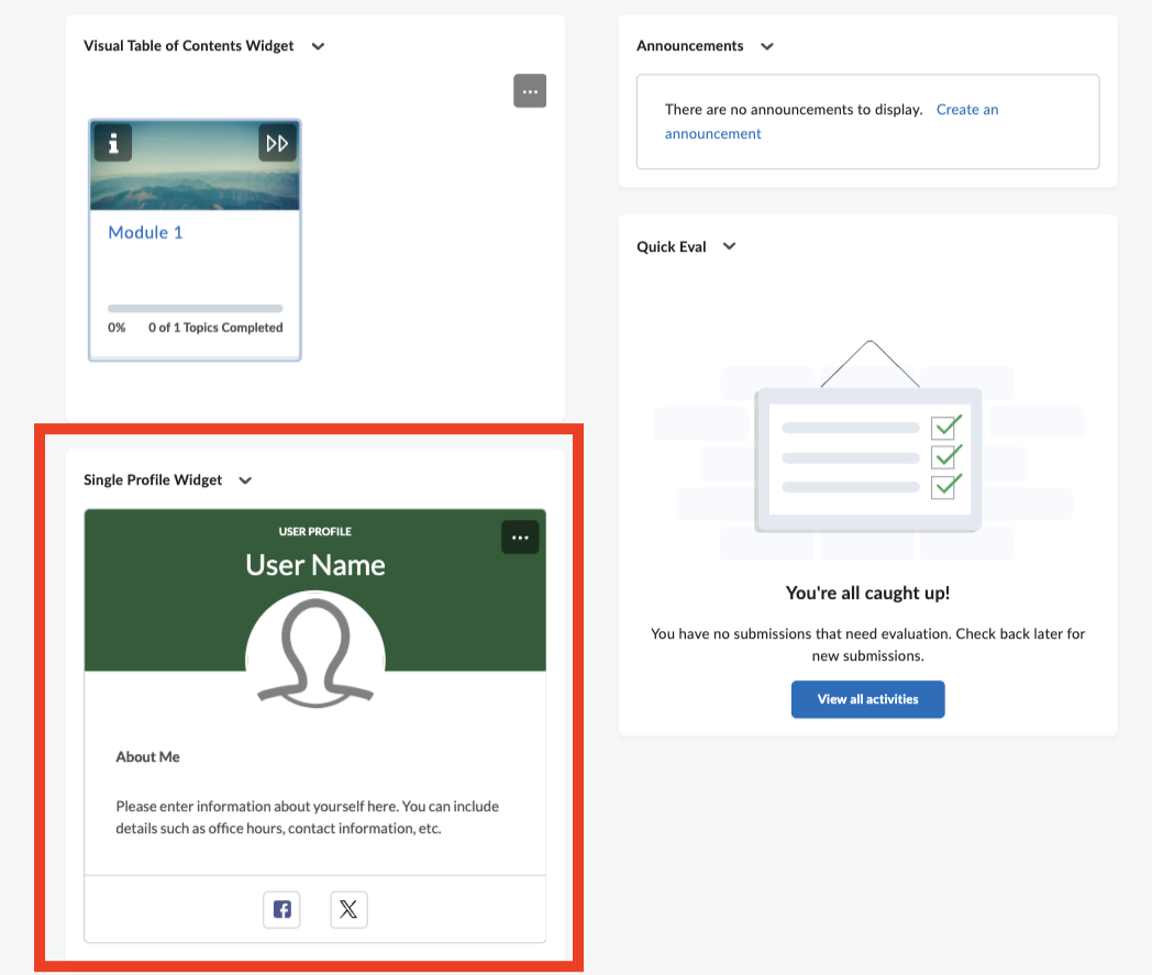 Placing Instructor Info in Brightspace – Teaching Guides