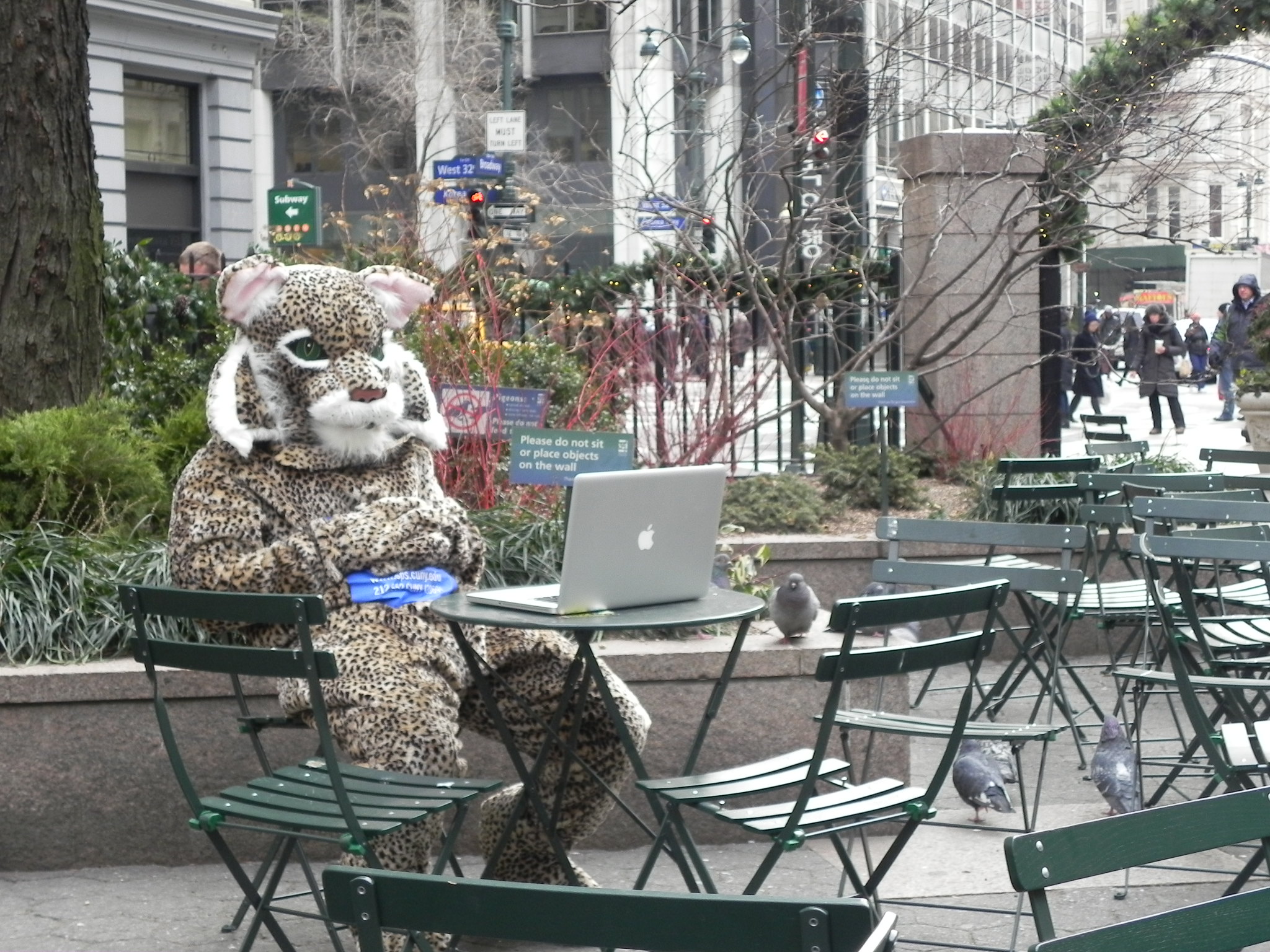 CUNY SPS Mascot Lexington Lynx Unveiled