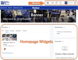 Brightspace transition offers improved usability over Blackboard